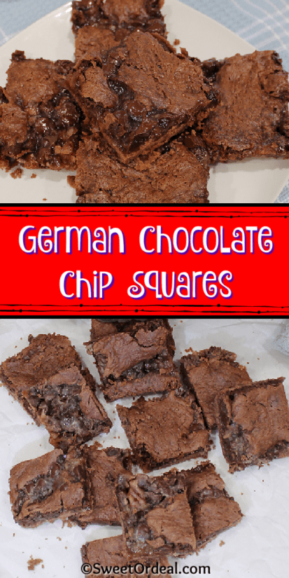 German Chocolate Chip Squares | Sweet Ordeal | Dessert
