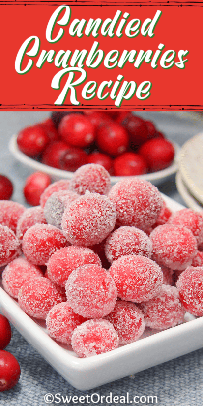 Candied Cranberries Recipe | Sweet Ordeal | Dessert/Garnish
