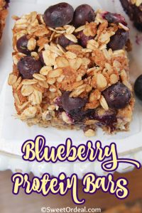 Blueberry Protein Bars | Sweet Ordeal | Healthy | Snack
