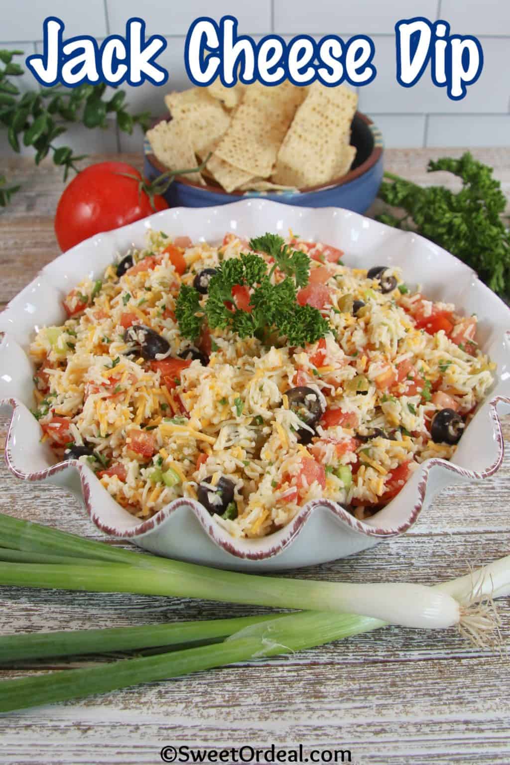Jack Cheese Dip | Sweet Ordeal | Appetizer | Dip