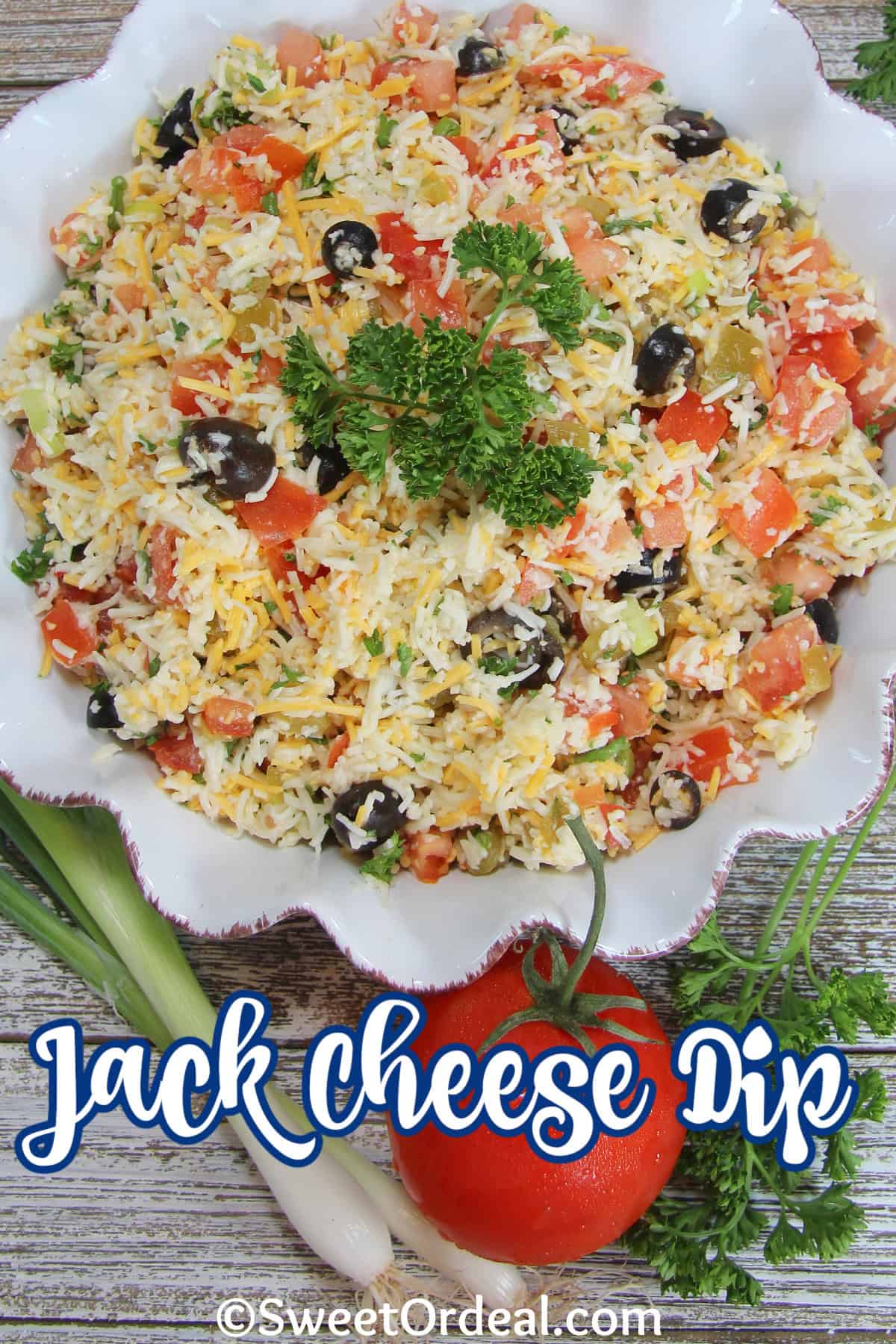 Jack Cheese Dip | Sweet Ordeal | Appetizer | Dip
