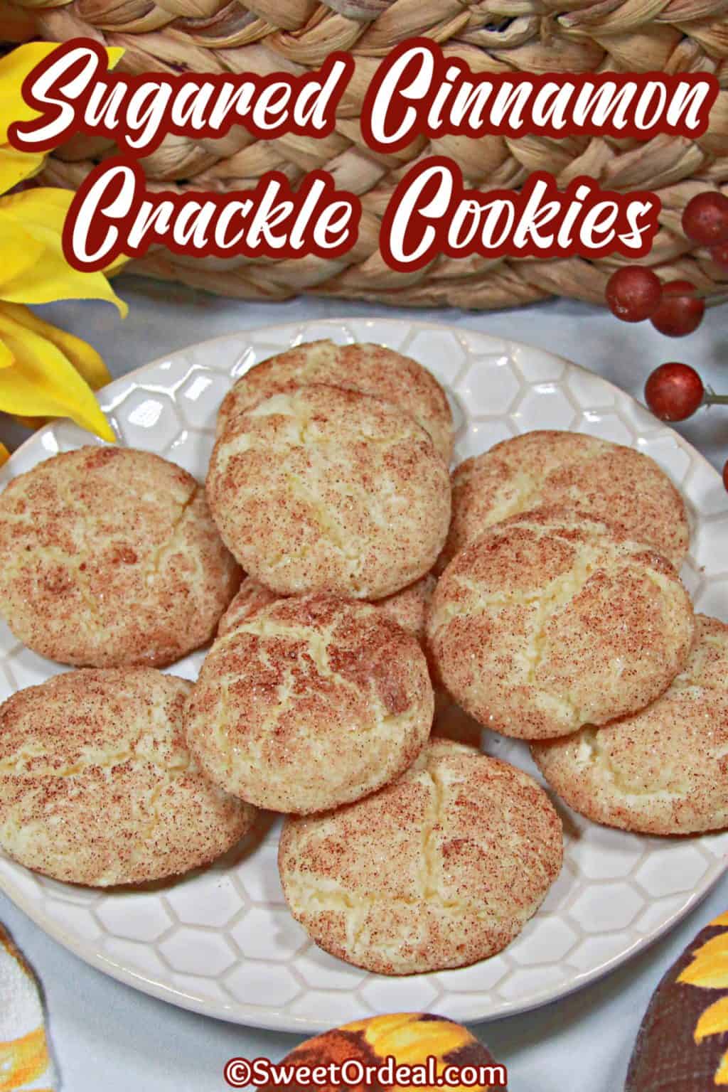 Sugared Cinnamon Crackle Cookies | Sweet Ordeal | Dessert